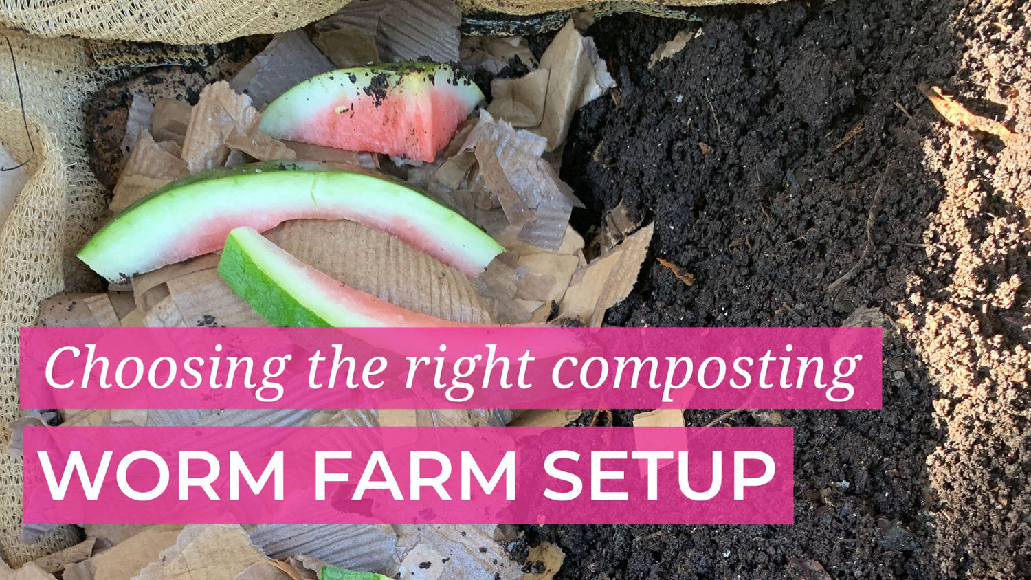 Choosing the right composting worm farm setup – Love of Dirt