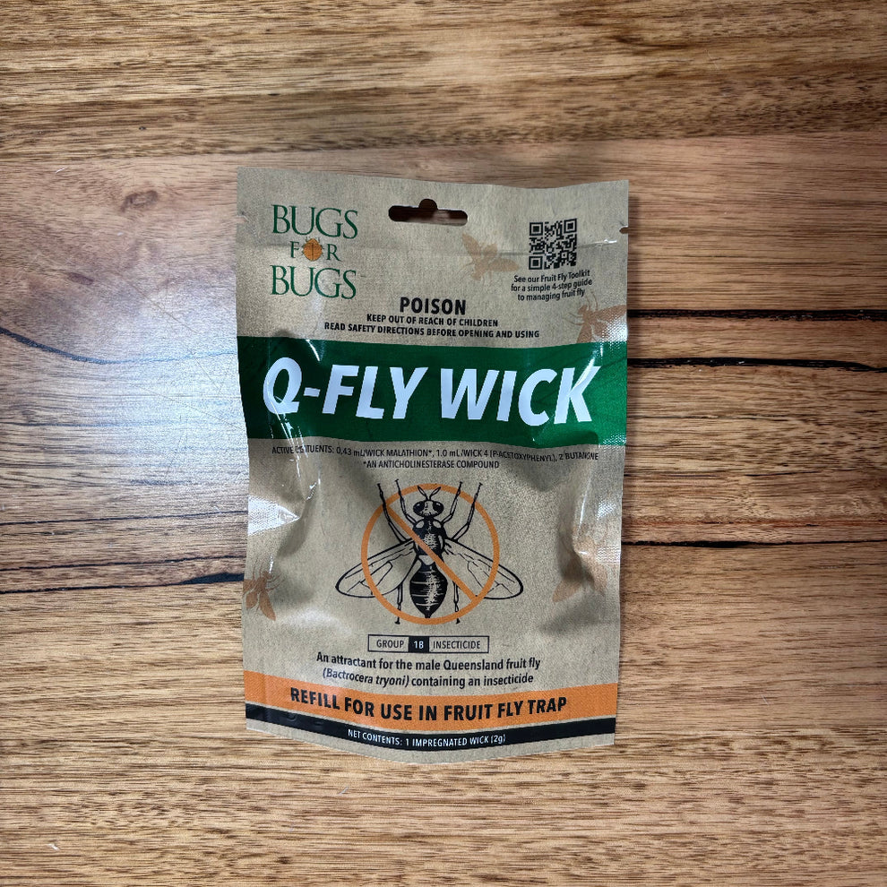 Fruit Fly Trap Pro Q-Fly Wicks (2 Pack) – Love of Dirt