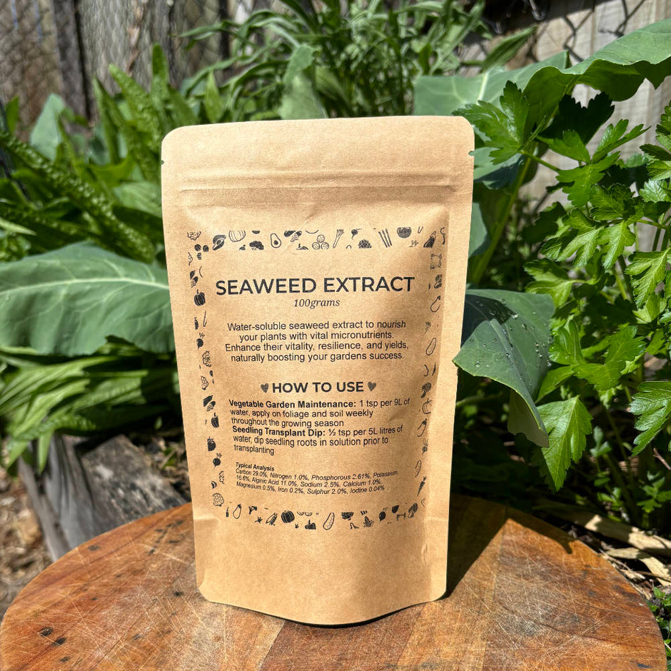 Dry Amendments – Love of Dirt